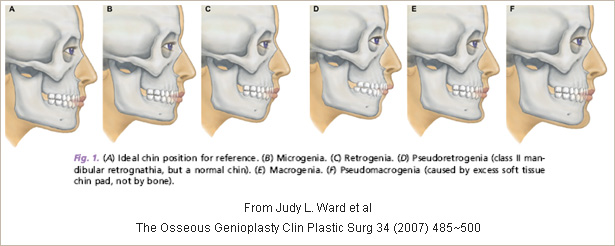 Our Services | Introduction | Plastic Surgery | Asan Medical Center